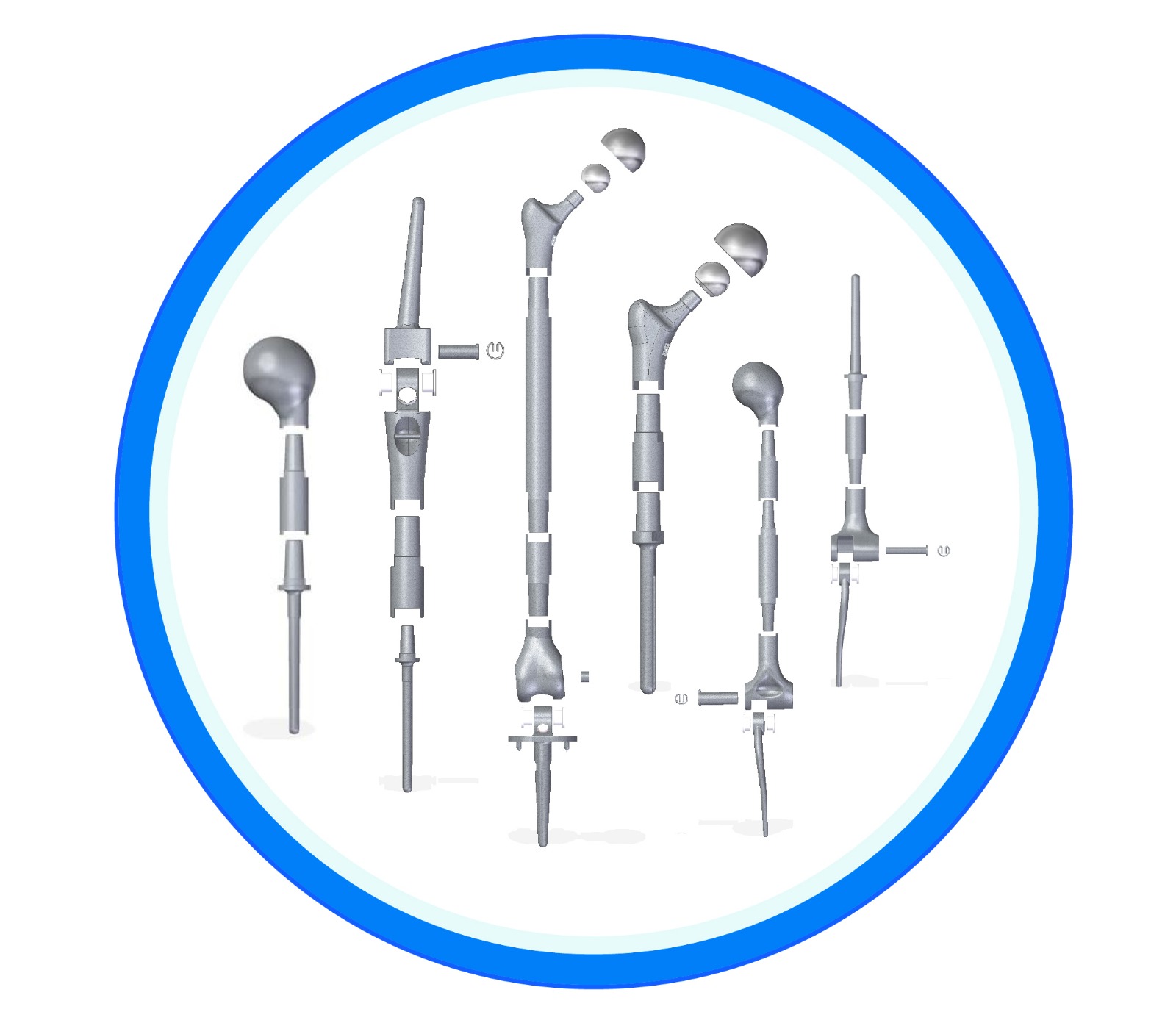 Tumor Prosthesis / Mega Prosthesis