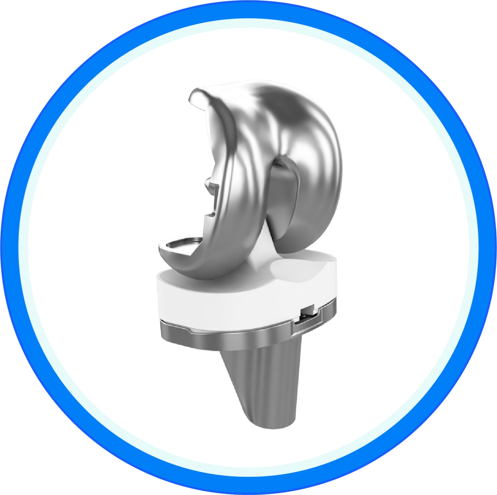 PS Knee Replacement System (II GEN)